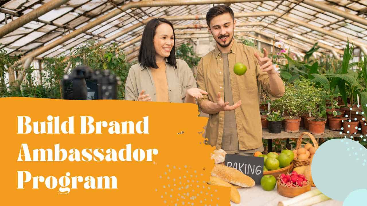 Mastering Feedback in Ambassador Programs - DigitalSMB